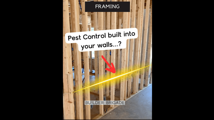 In wall Pest Control.. Is this for real? 🐜 – Builder Brigade